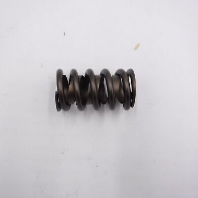 ISKY 295D Valve Spring Gold Stripe Tool Room Valve Springs 16 Pieces ...