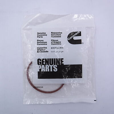Genuine OEM Cummins 4378484 Rectangular Ring Seal - OneClick Warehouse
