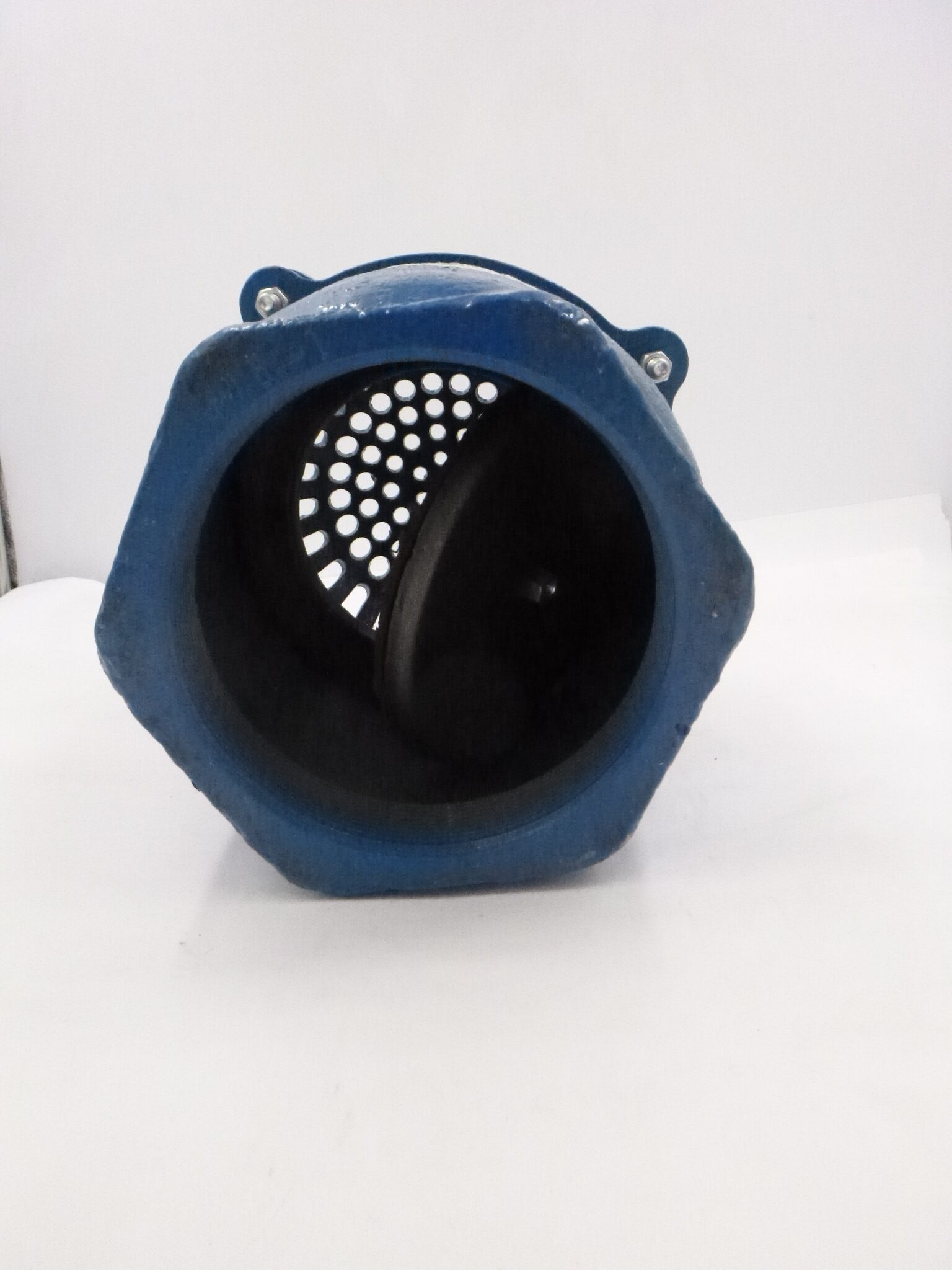 6" NPT Foot Valve, Cast Iron, Pump Suction Hose, Prime, Prospecting FV6 ...