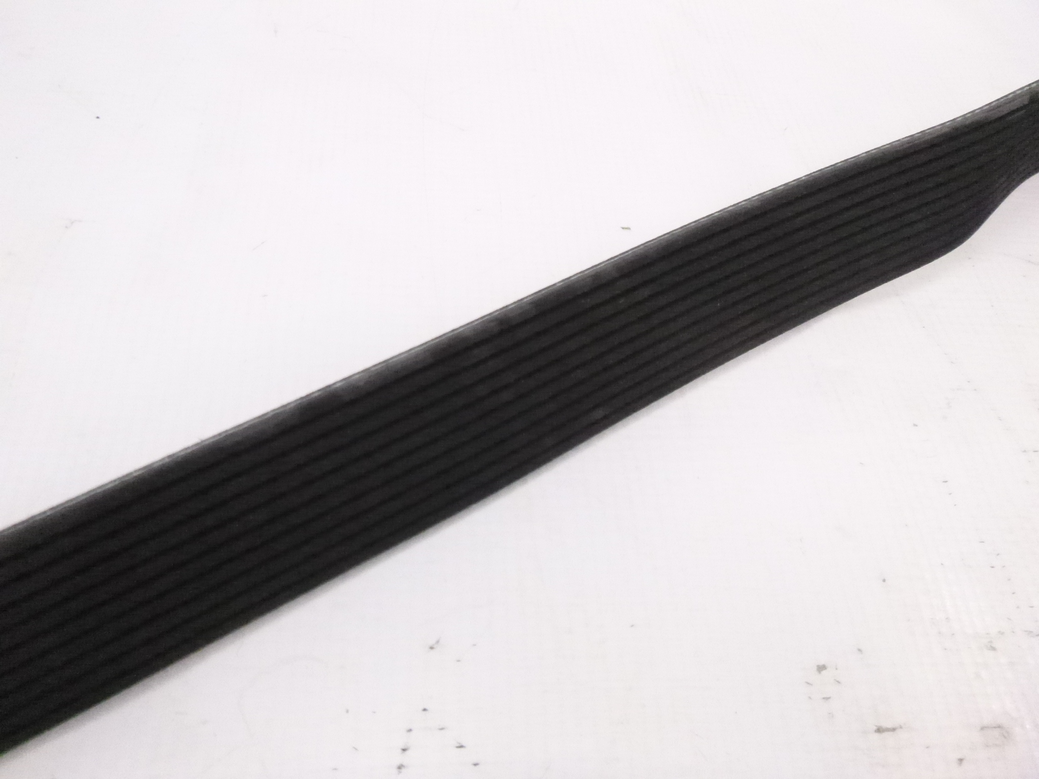 OEM CAT 611-5640 Serpentine Ribbed Belt for XQP550 C18 C18 Genset - OneClick Warehouse